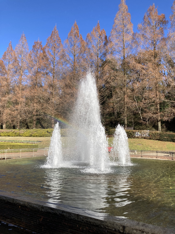 クリプレ: うどん屋のカレー